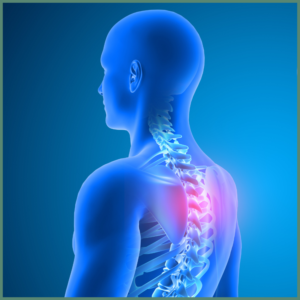 MTF Ergo Project: Phase Two Starting Soon – Massage Therapy Foundation